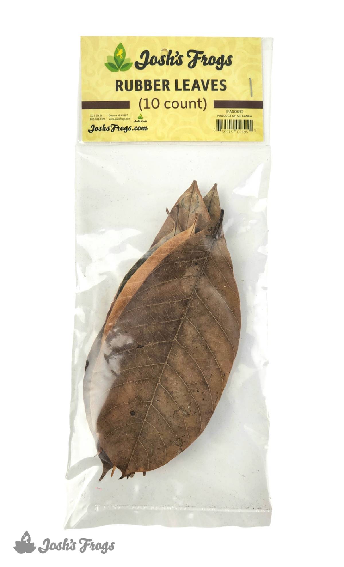 Rubber Leaves – Hocks Herps